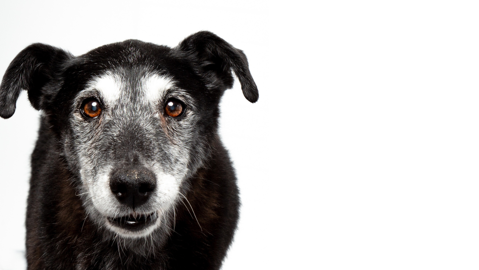 Word Outlet – The Words and Poetry of Mike Falconer