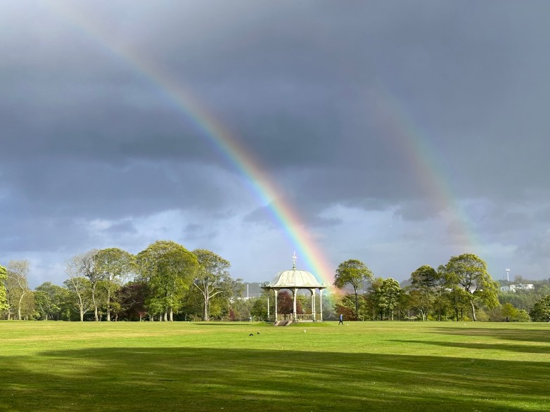 Park, Rain, Suddenly Summer – Word Outlet